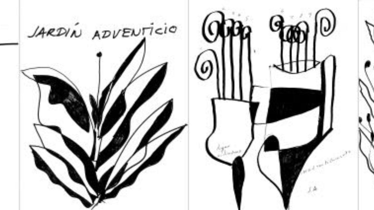 Jardín adventicio, de Luis Palacios Kaim, un diálogo entre naturaleza ...